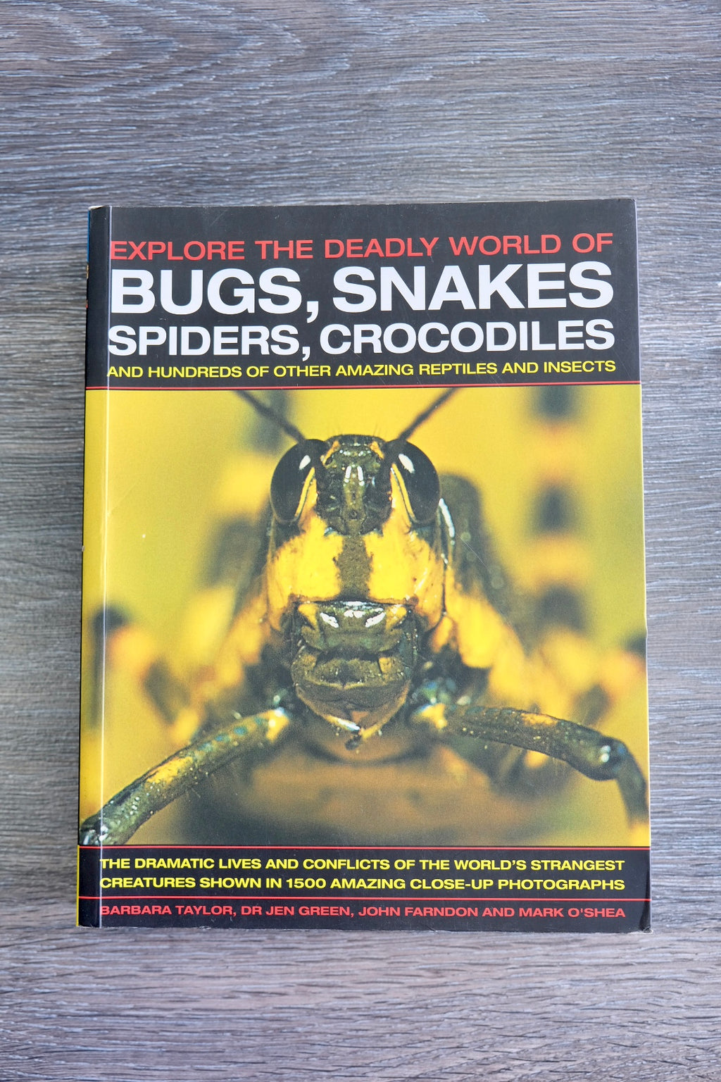 Explore The Deadly World of Bugs, Snakes, Spiders, Crocodiles ... Book ...