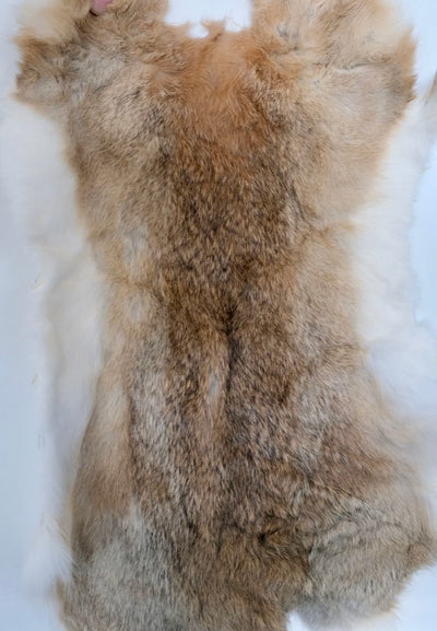 Shop All | Oddity Bug Club